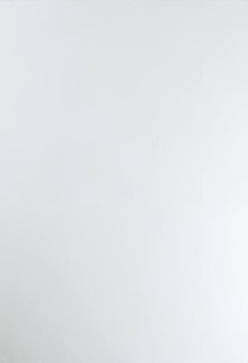 Highland Matte White (Euro Deluxe) Full Sample Door – Denver Cabinet ...